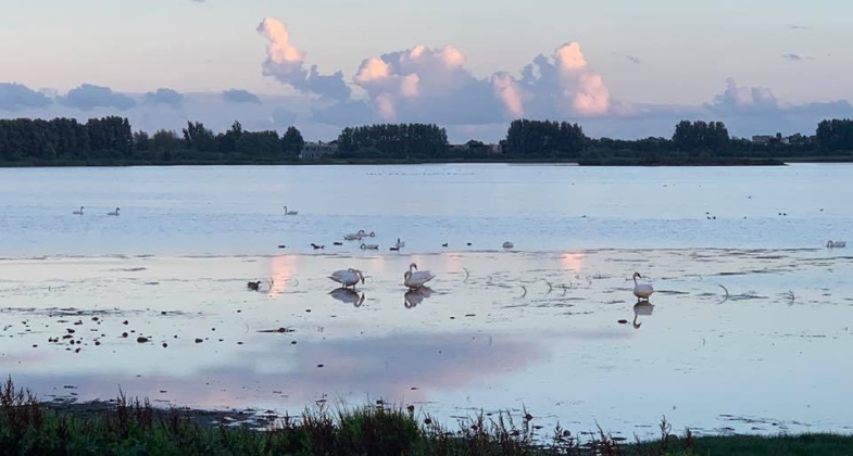 Europe in my heart | Interreg North Sea