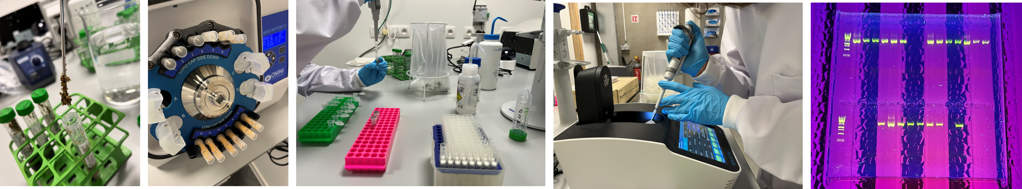 RESEARCH UPDATE: Identifying bacteria in TNT contaminated sediments ...