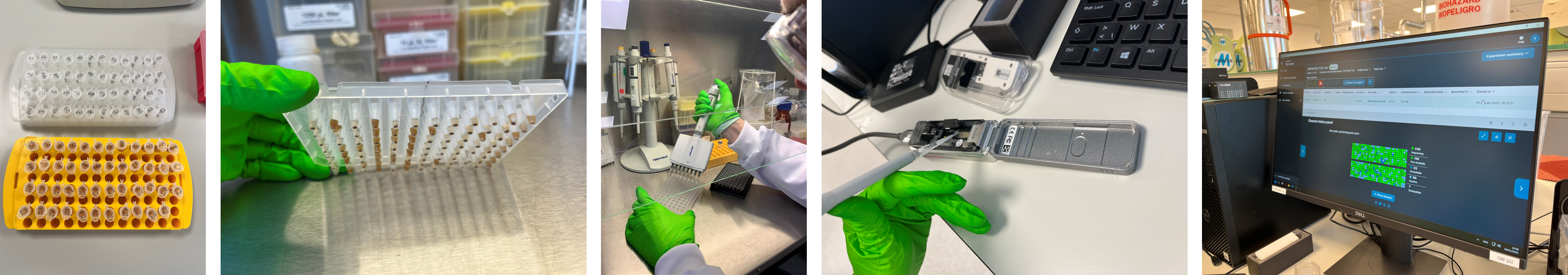 RESEARCH UPDATE: Identifying bacteria in TNT contaminated sediments ...