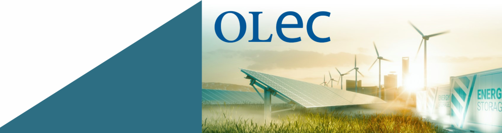 Meet our Partners: Oldenburger Energiecluster OLEC e.V. LIHYP ...