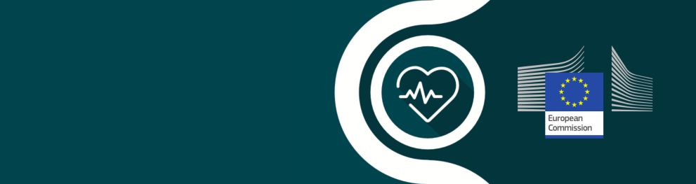 Navigating the Future of Healthcare: Digitalisation Efforts in the EU ...